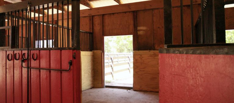Horse Amenities in The Woodlands, TX - Horse Pastures & Barns